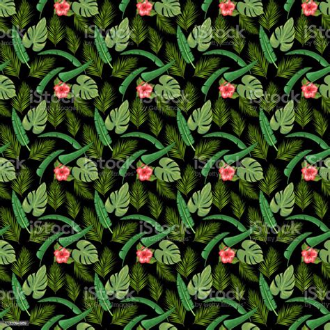이국적인 추상적인 벡터 정글 또는 열 대 잎과 꽃 완벽 한 패턴입니다 벡터 일러스트입니다 녹색 잎과 검은 색 배경입니다 고체에 대한 스톡 벡터 아트 및 기타 이미지 Istock