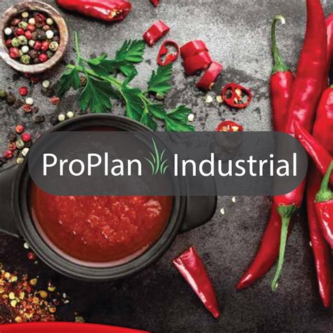 Oem Proplan ซอส พริกแกง เพจบริษัท Bangkok