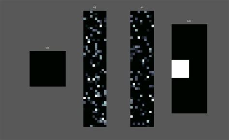 Spiking Neural Network Wikipedia Walter C