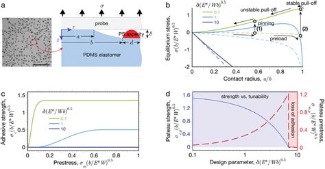 A Schematic Of The Axisymmetric Contact At An Individual Cluster Of Download Scientific