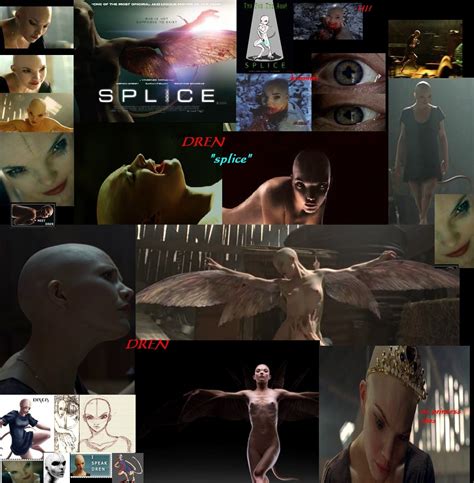 Dren wallpaper - Dren Photo (16531166) - Fanpop