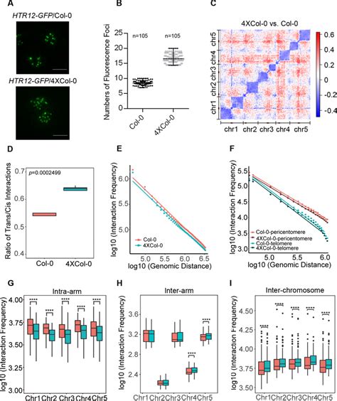 Comparison Of 3d Chromatin Interaction Profiles Between Col 0 And 4 ×