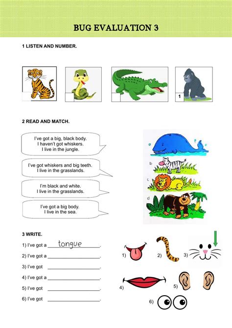 big bugs 1 bug evaluation 3 worksheet live worksheets