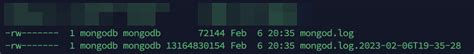 Flush Delete Or Empty MongoDB Log File SiteLint