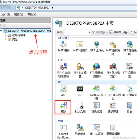 NET WebApi 发布到 IIS 详细步骤 技术栈