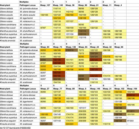 Results Of Cross Species Amplification Of The 22 Microsatellite Loci In Download Table