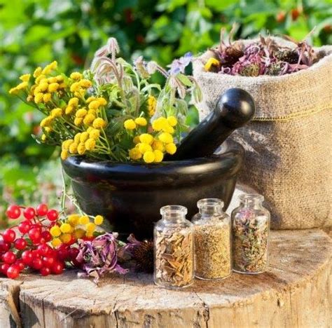 Байгалын Эмийн сан ургамал болон ургамал амьтны гаралтай эмчилгээний тос