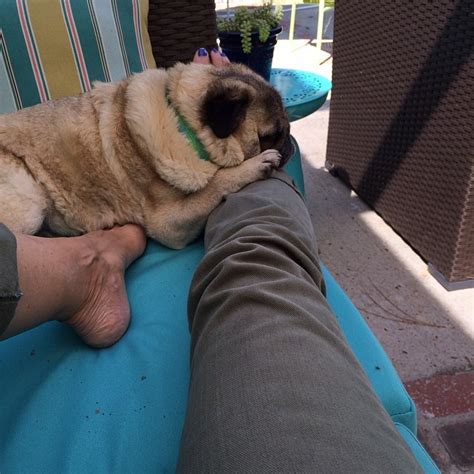 Patti Daviss Feet