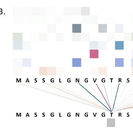 Architecture Of Prot T Based Model Using A Two Layer Artificial Neural Download Scientific