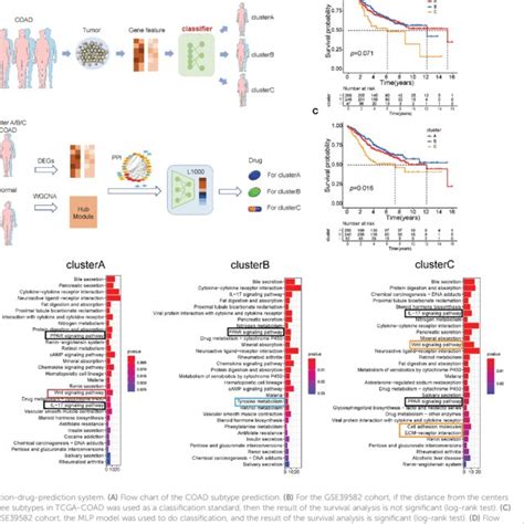 Three Prognostic Molecular Subtypes Of Colon Cancer A Clustering Download Scientific Diagram