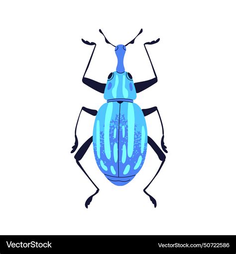 Beetle With Antenna Proboscis Fantastic Bug Vector Image