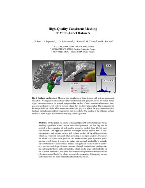 pdf high quality consistent meshing of multi label datasets