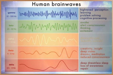 Theta Healing Vianna Stibal And The Power Of Theta Waves Egely Wheel