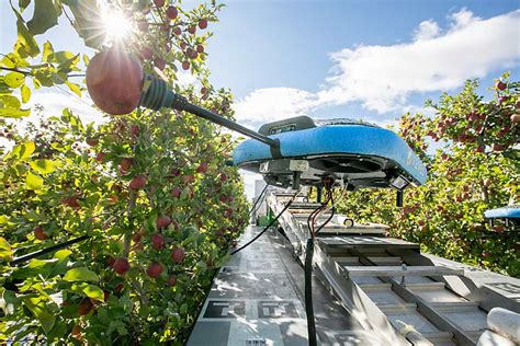 Automation Advancements In Apple Harvesting — Video Good Fruit Grower