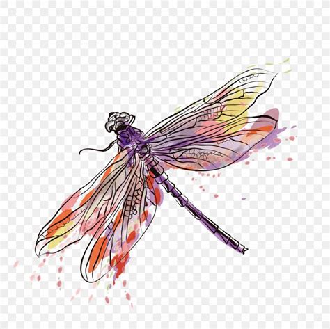 Insect Euclidean Vector Dragonfly Png 1600x1600px Insect Arthropod