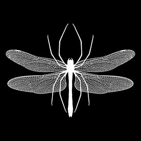 Popup Notifications For Android On Behance