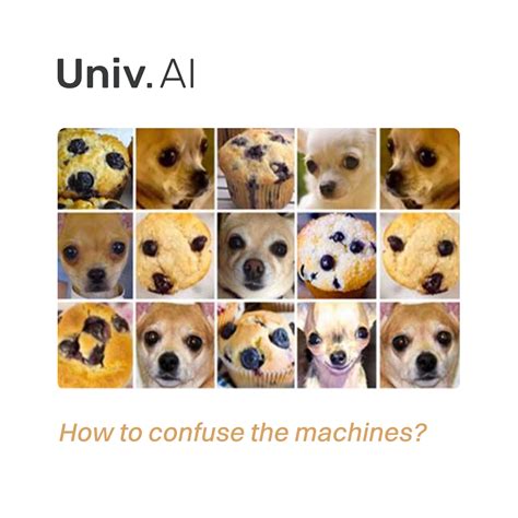 Univ Ai How To Confuse Machine Learning Part 1