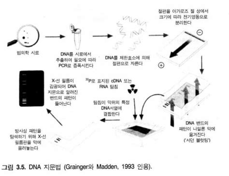 Pcrpolymerase Chain Reaction중합효소 연쇄반응 네이버 블로그