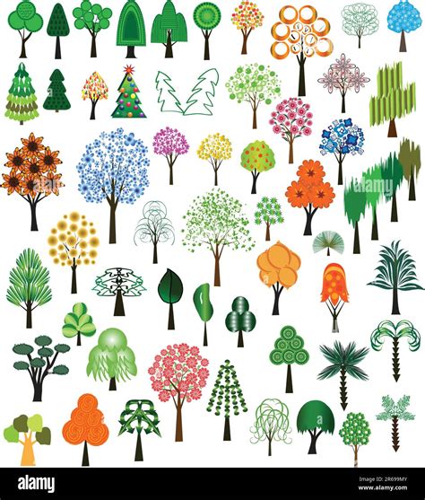Birch Trees Garden Stock Vector Images Alamy