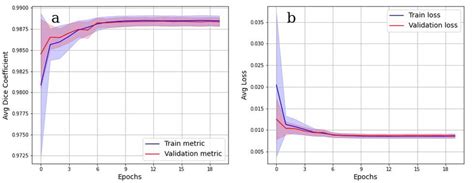 Binarization Results A Dice Coefficient On Training And Validation Download Scientific