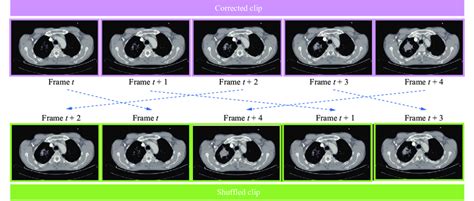 Positive Slice Examples Correct Order And The Negative Slice Examples Download Scientific