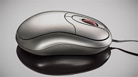 What Are The Parts Of A Computer Mouse Called Reviewmotors Co