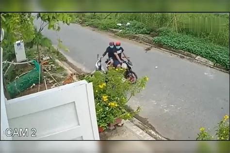 两男子骑摩托车盗窃，刚想动手出来一条大黄狗，监控拍下荒唐一幕刚想监控摩托车