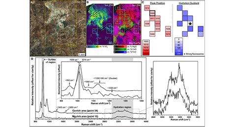 Evidence Of Hydrothermal Systems Discovered On Mars Using Perseverance Astrobiology