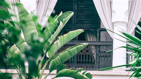 Baum Informatik Alles über Baumdatenstrukturen Und Ihre Anwendung