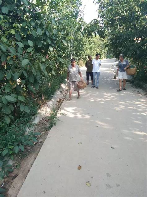 用心做事履职为民 记左家乡人大代表周建荣