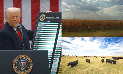 لیست بهترین بازی های کامپیوتری دخترانه 10 بازی برتر جهان