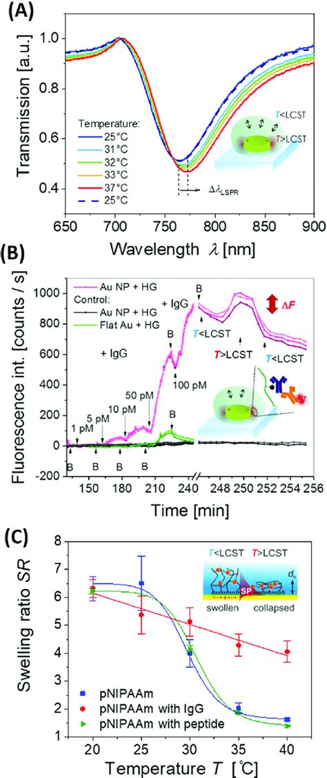 A Example LSPR Spectra And B PEF Readout Upon Affinity Binding To Download Scientific