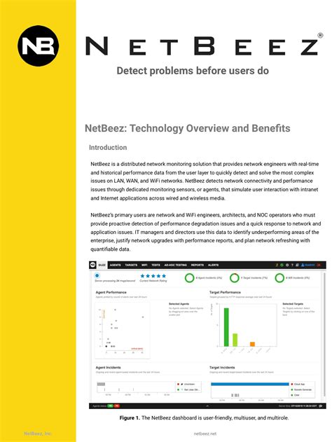 netbeez technology and benefits overview