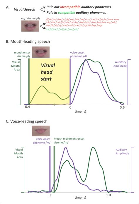 Relationship Between Auditory And Visual Speech A Visual Speech Download Scientific Diagram