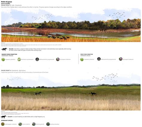 Core To Buffer CEPT Portfolio