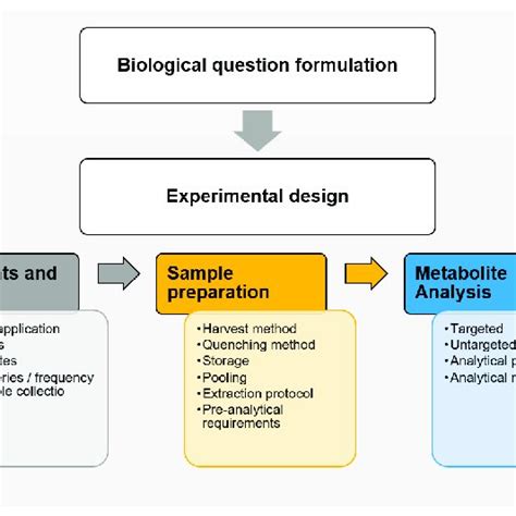 Experimental Design And Workflow In A Plant Metabolomics Experiment Download Scientific Diagram