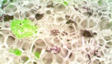 Memory Foams Explained Do They Really Differ That Much