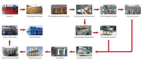 Turnkey Tomato Ketchup Processing Line Tomato Paste Plant