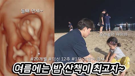 브이로그 둘째 1차 기형아 검사받고 밤마실 산책가고 해양박물관 놀러간 일상 29개월 Vlog 가정보육 임신12
