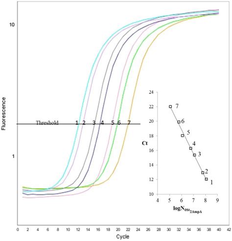 Amplification Curves Obtained By Real Time Pcr For St2 Ampa Using Sybr Download Scientific