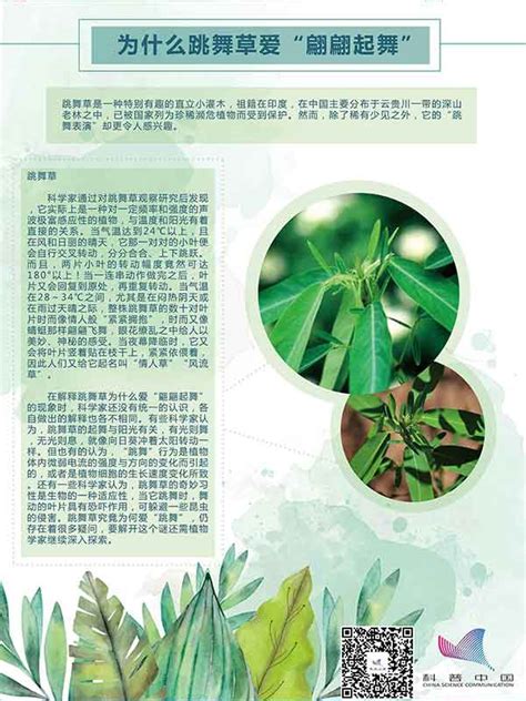 校园落地应用