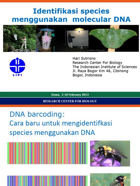 Species Identification Using Dna Molecular Pdf Primer Molecular