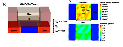 figure 3 from investigation on variability of ferroelectric gate field effect transistor memory