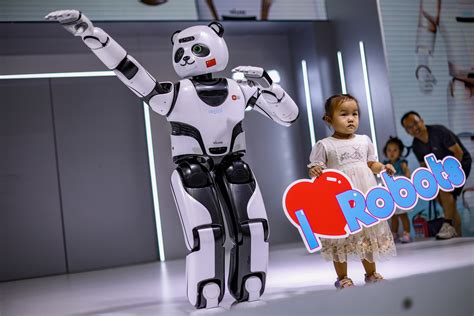 World Robot Conference 2025 Theo Junaid