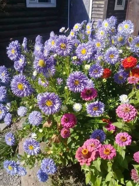 Гэрэл On Twitter Rt Munkhtuulshagd4 Шинэ 7 хоногийн Өглөөний мэнд 💕