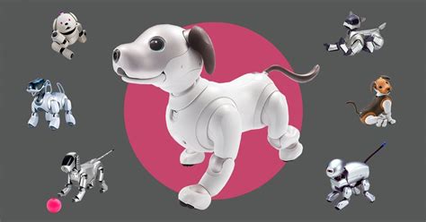 Zen And The Art Of Aibo Engineering Ieee Spectrum