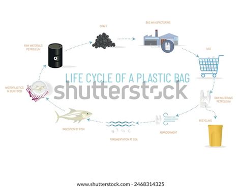 Life Cycle Plastic Bag Process Plastic Stock Vector Royalty Free