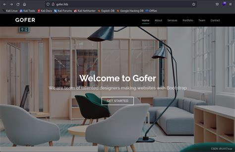 Htb Gofer Writeup Csdn博客