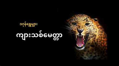 ကျားသစ်မေတ္တာ ဒဂုန်ရွှေမျှား သုတ ဖြစ်ရပ်ဆန်းကြယ် ဝတ္ထုတို Youtube