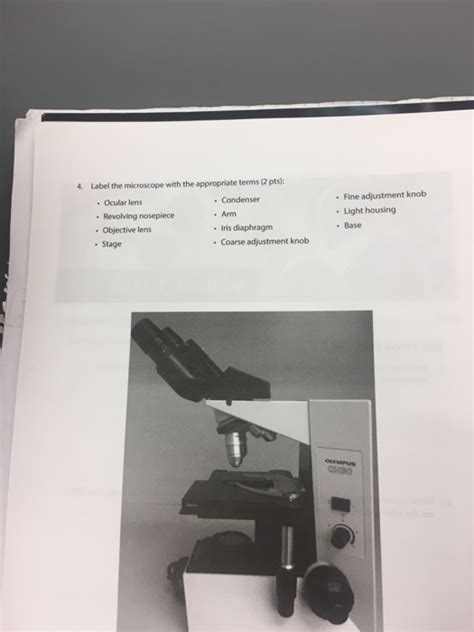 Solved WORKSHEET EXERCISE2 NAME SECTION DATE QUESTIONS 1 Chegg Com